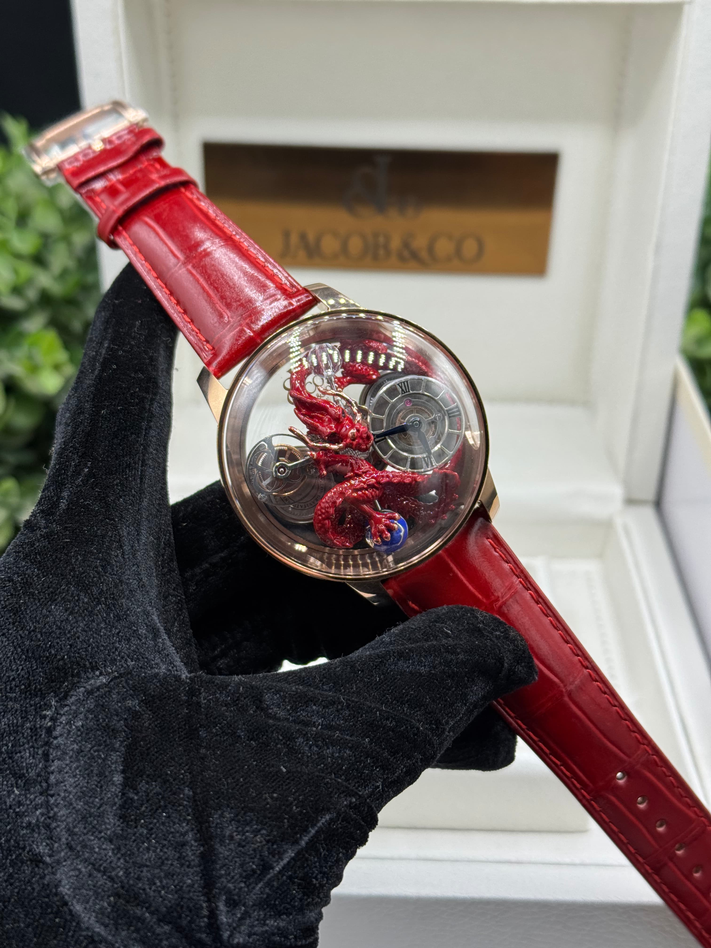Jacob Dragon Edition – Sheikh Sunny Watches